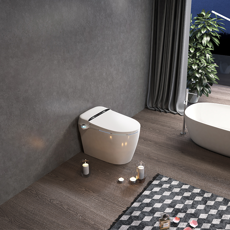 China Famous Best No Water Tank Intelligent Toilet Factory – Full ...