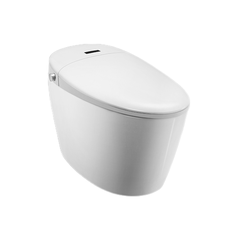 China Auto Flush Smart Toilet with Bidet System Manufacturer and ...